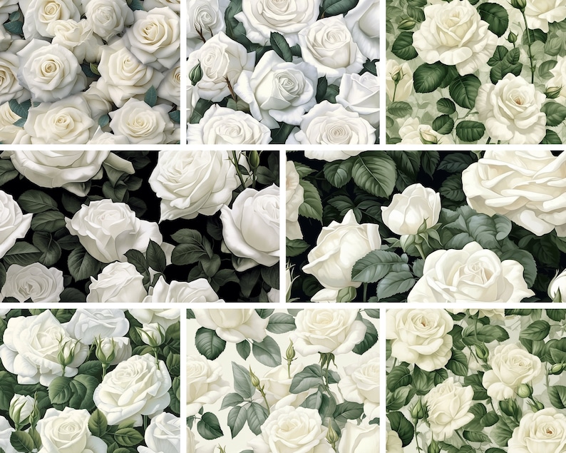 White Roses Seamless Print, Floral Paper Print Elegant, Instant Digital ...