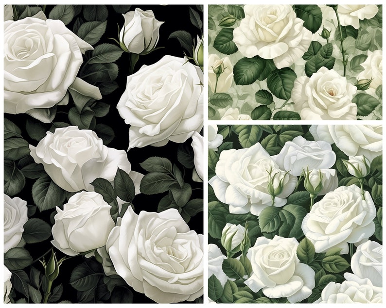 White Roses Seamless Print, Floral Paper Print Elegant, Instant Digital ...