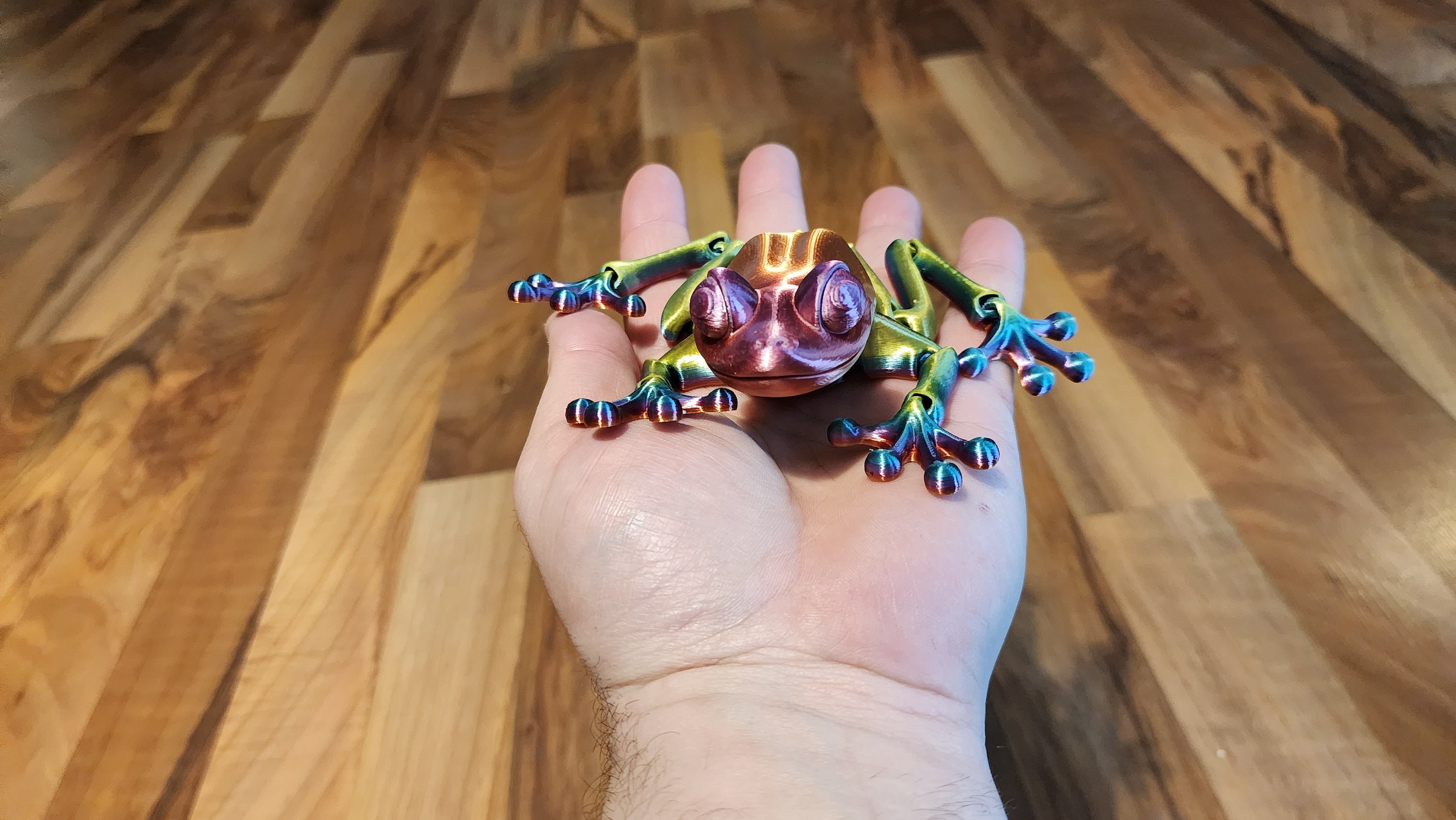 Flexi-factory 3D Printed Fidget Articulating Rainbow Frog - Etsy