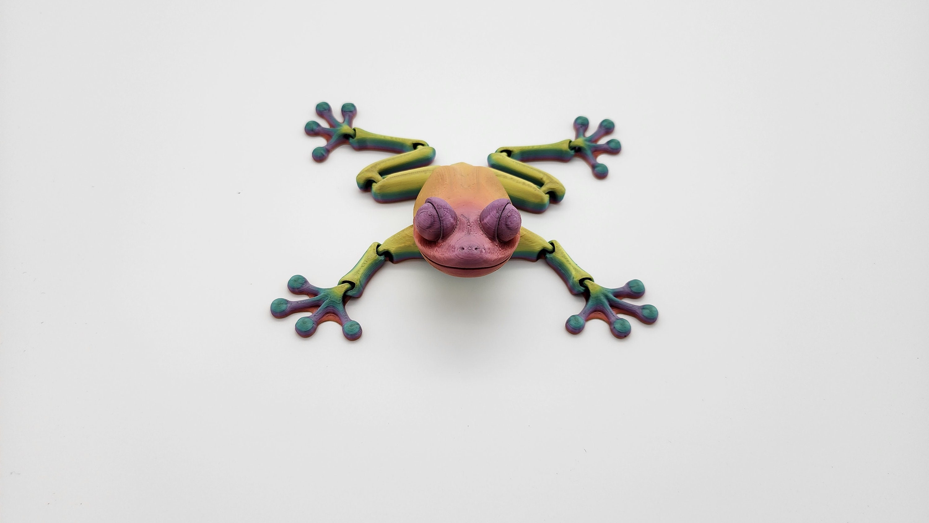 Flexi-factory 3D Printed Fidget Articulating Rainbow Frog - Etsy