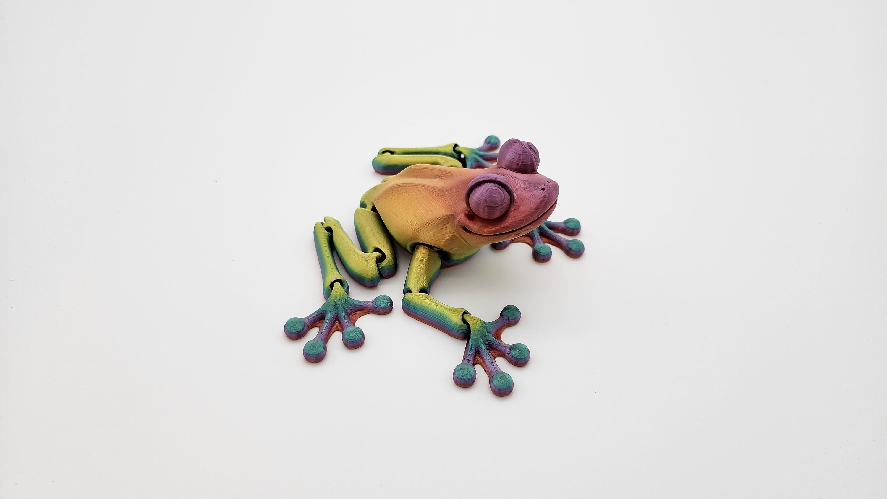 Flexi-factory 3D Printed Fidget Articulating Rainbow Frog - Etsy