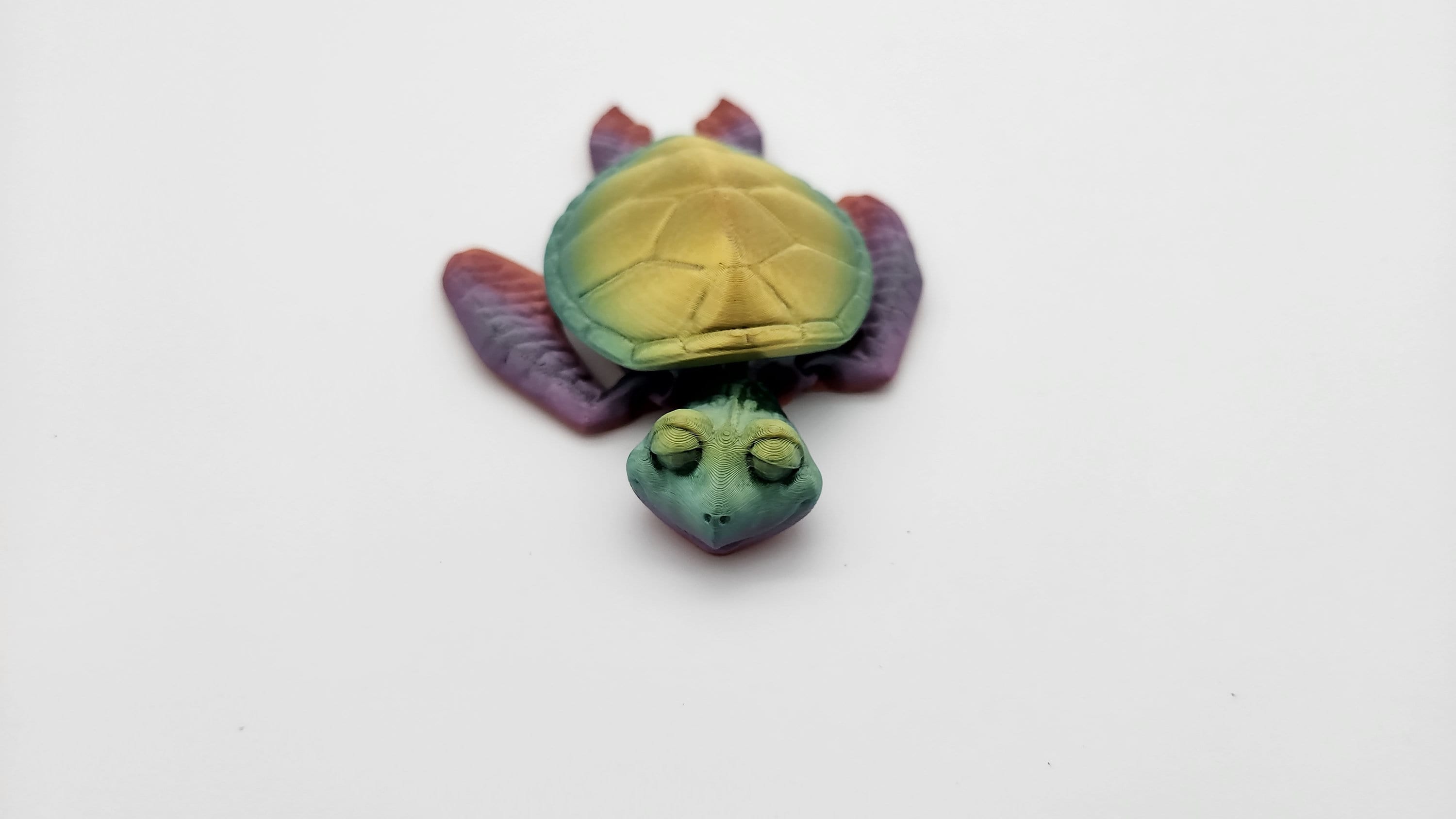 Flexi-factory 3D Printed Fidget Articulating Rainbow Turtle - Etsy