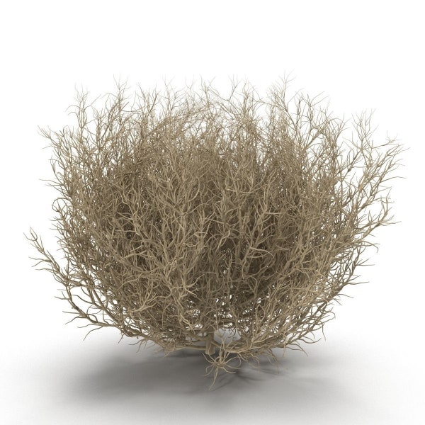 Tumbleweed - Etsy