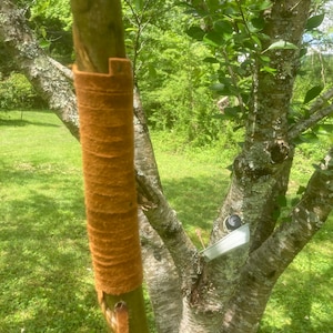 Handmade Walking Stick - Etsy