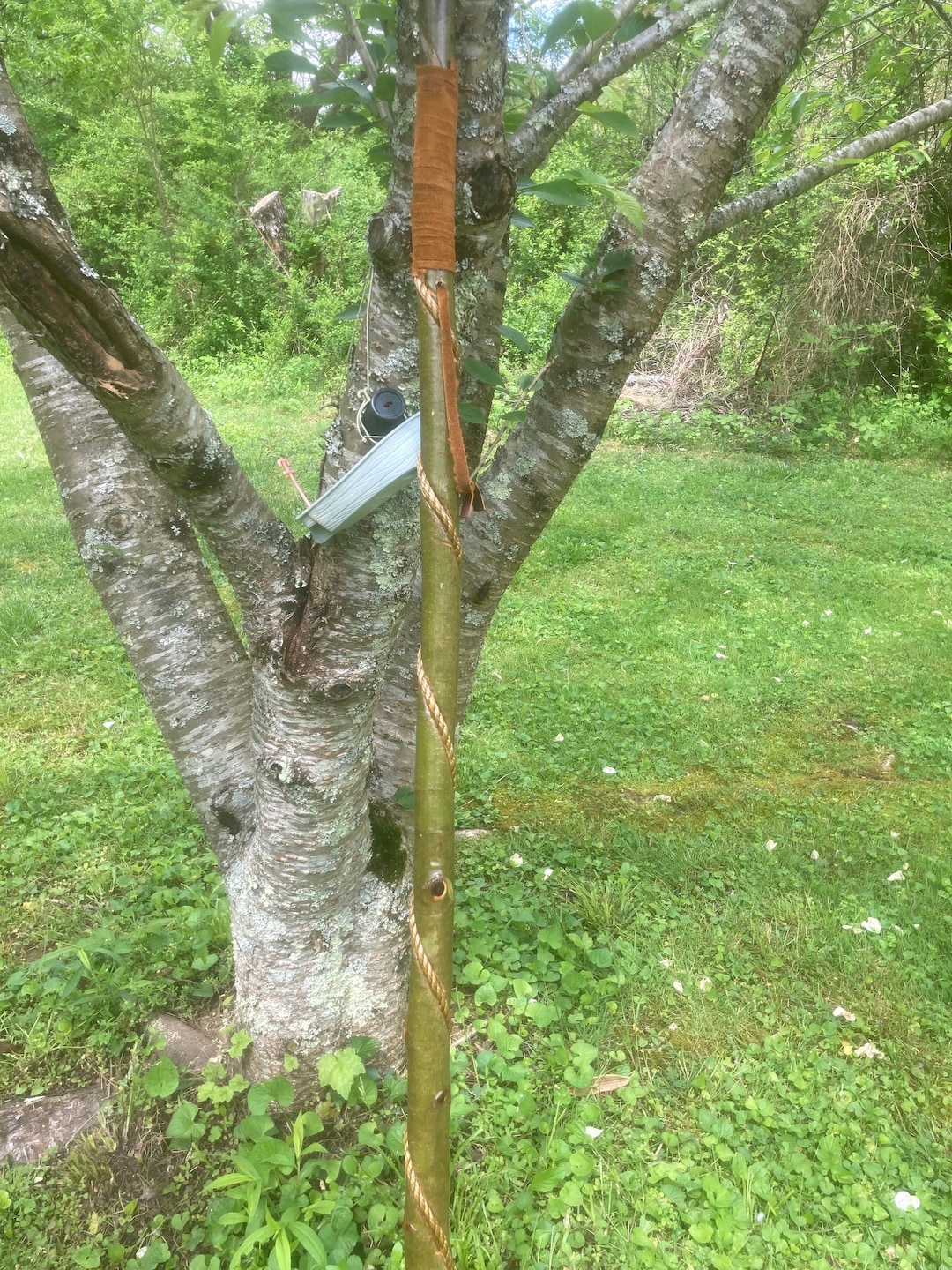 Handmade Walking Stick - Etsy