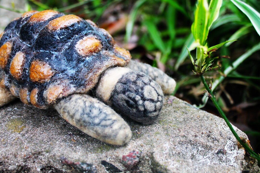 Realistic Tortoise Patagonian Turtle Sculpture Chaco Tortoise Needle ...