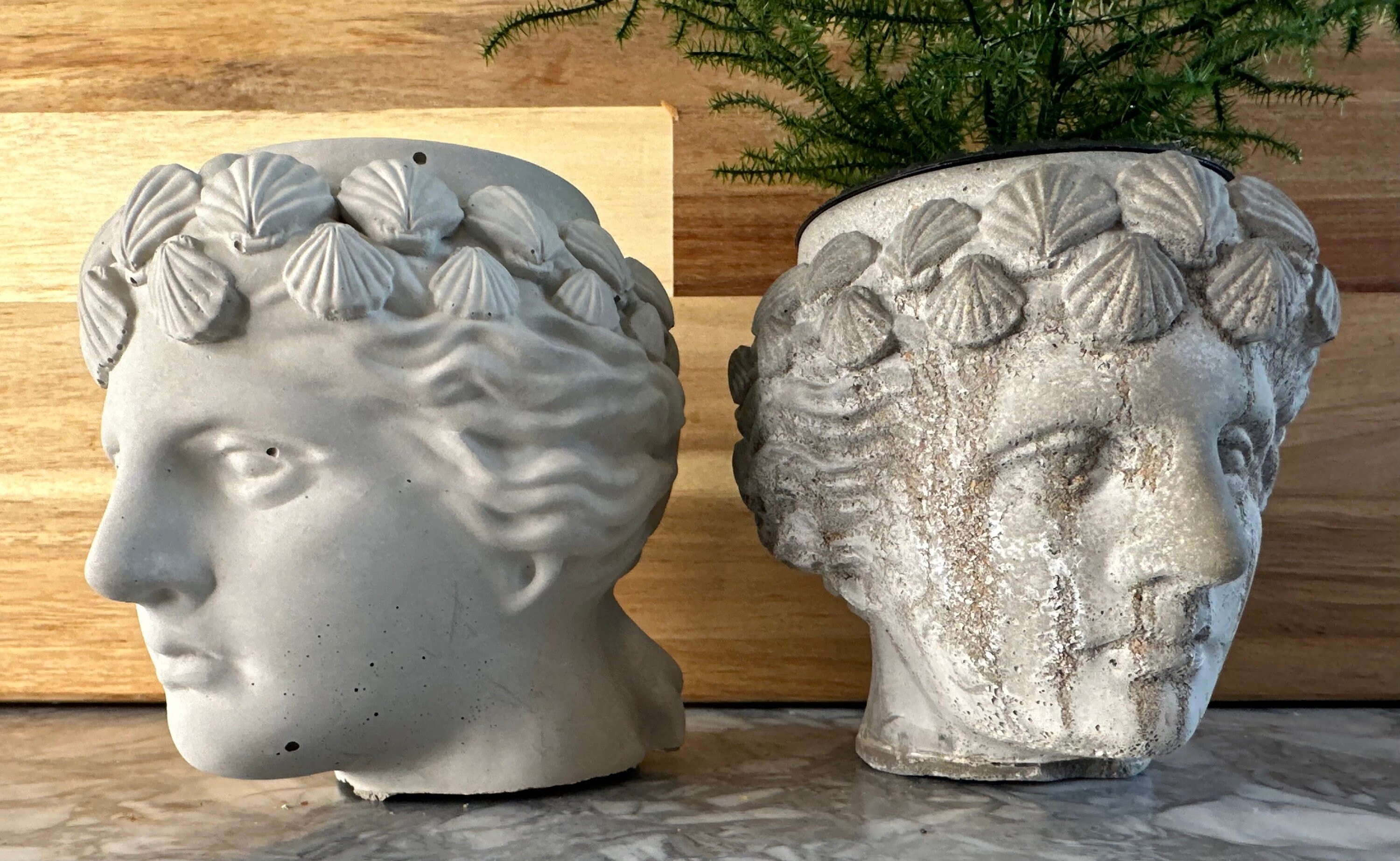 Venus Goddess Cement Planter - Etsy