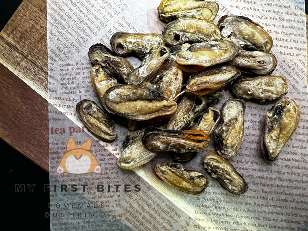 New Zealand Green Mussels 100% Homemade Natural Dehydrated - Single ...