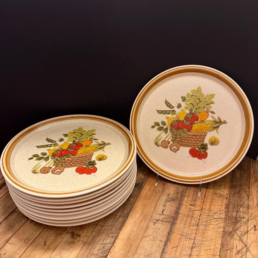 Mikasa Stone Manor Market Basket Plates 10 1/2" Dinner Set of 5 Japan ...