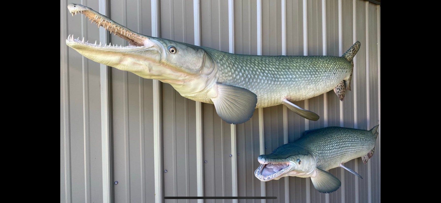 Fish Mount Replica - Etsy