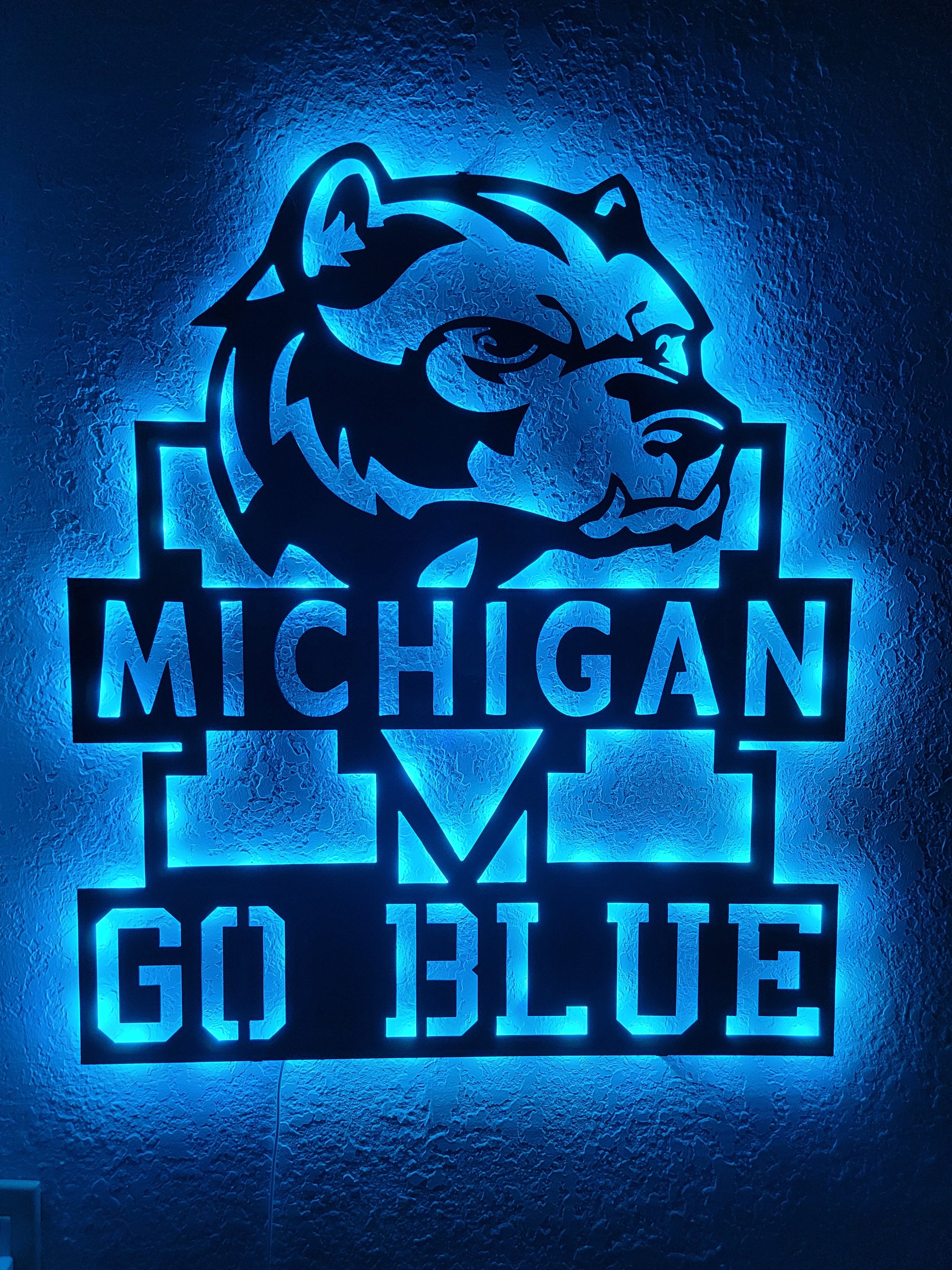 Michigan Logo Go Blue