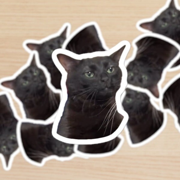 Zoning Cat - Etsy