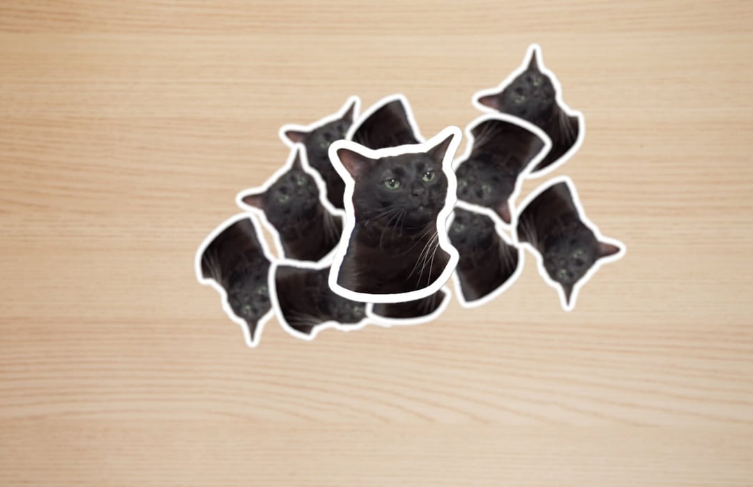 Dissociated Cat Meme Sticker Funny Popular Trending Memes Waterproof ...