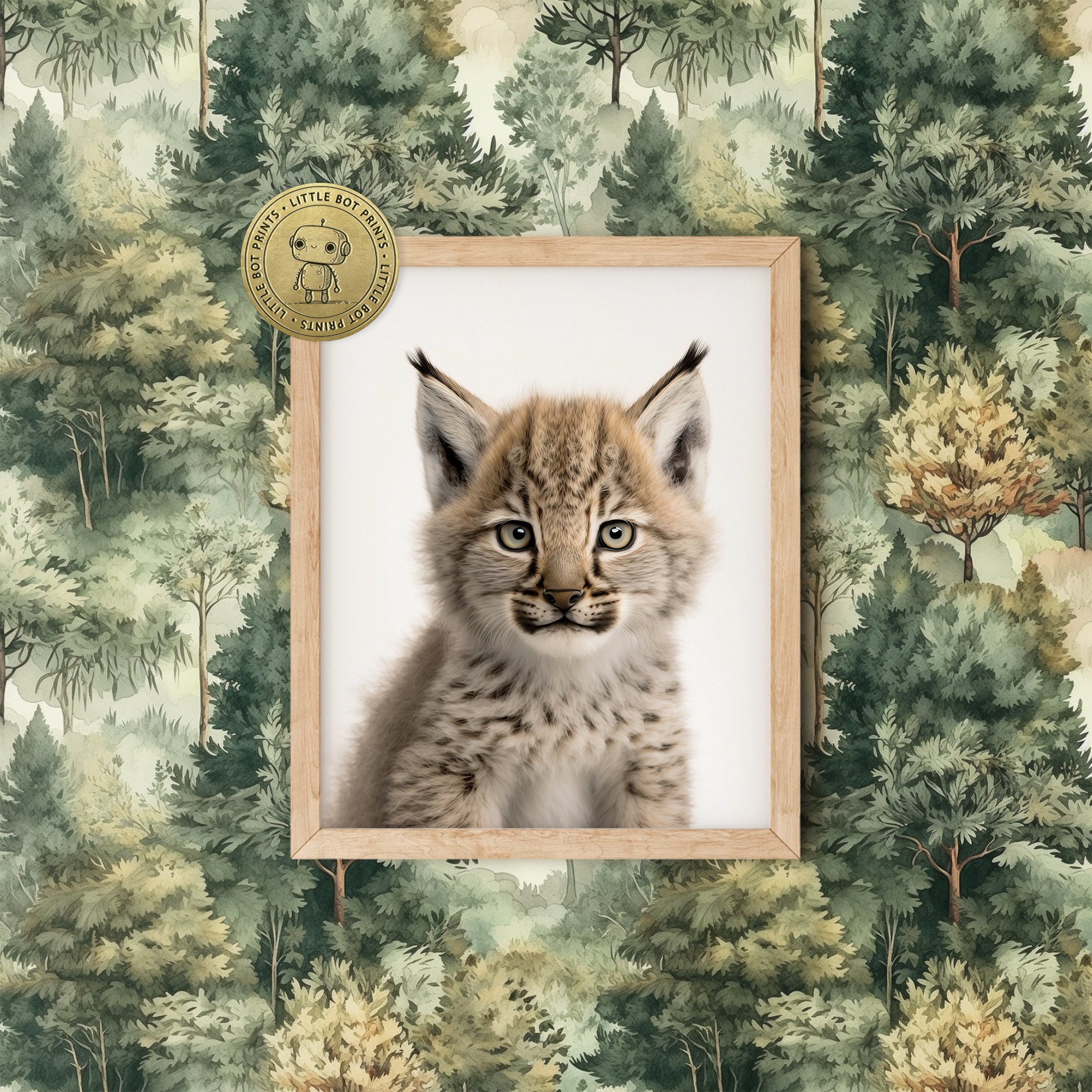 Cute Baby Lynx