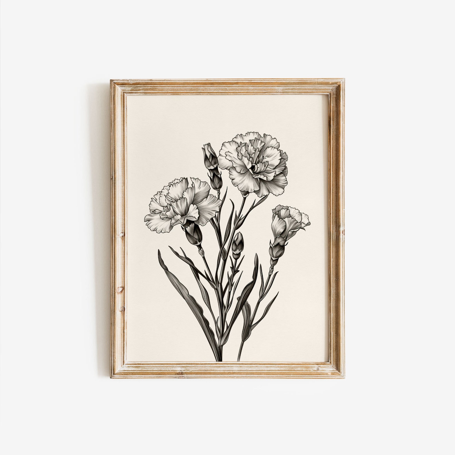 Botanical Drawing Instant Download | Carnation Flowers Printable Wall ...