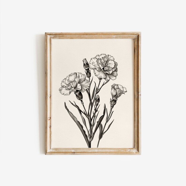 Botanical Drawing Instant Download | Carnation Flowers Printable Wall ...