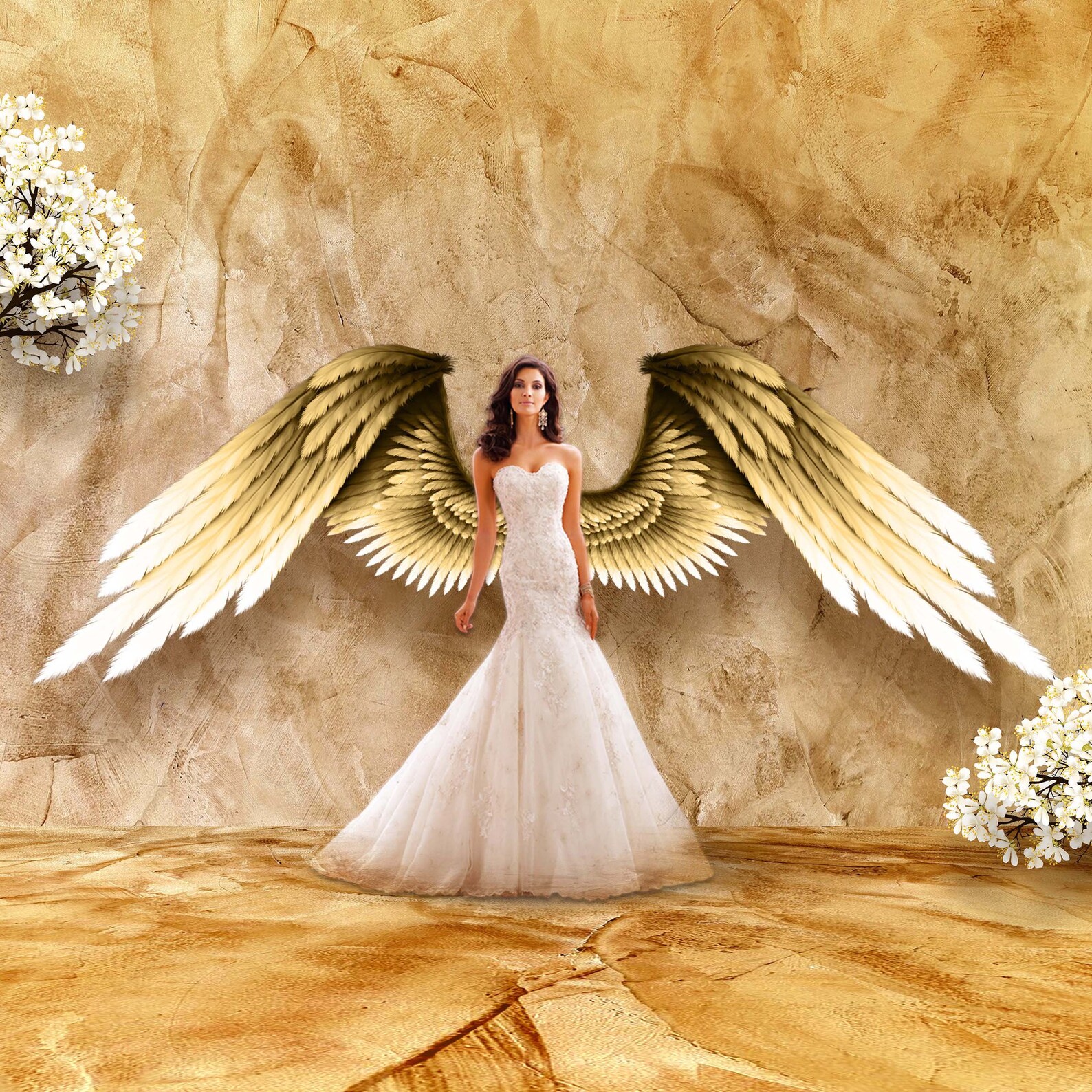 6 Digital Backdrop Angel Wings Digital Backgrounds Wedding Photo ...