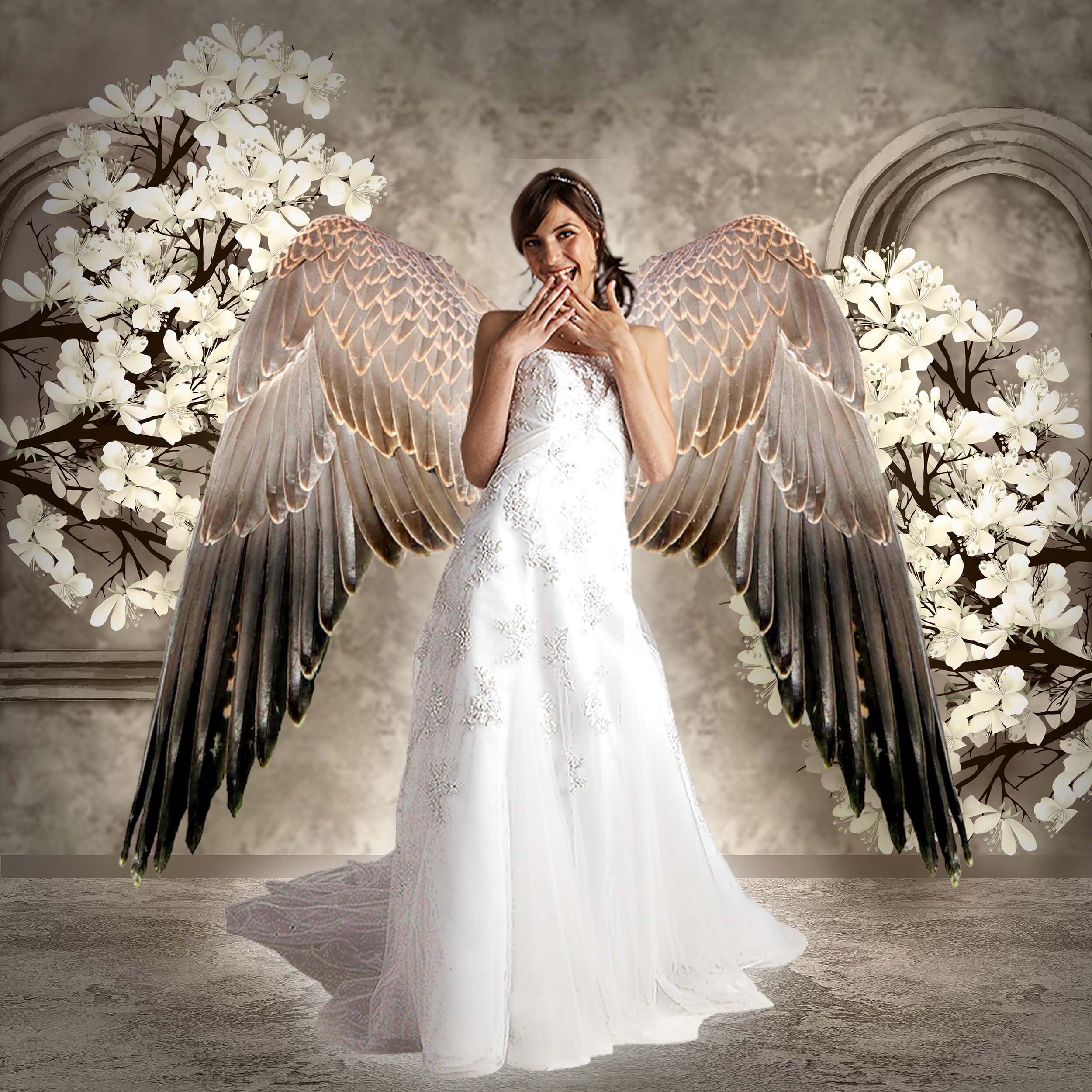 6 Digital Backdrop | Angel Wings Digital Backgrounds | Wedding Photo ...