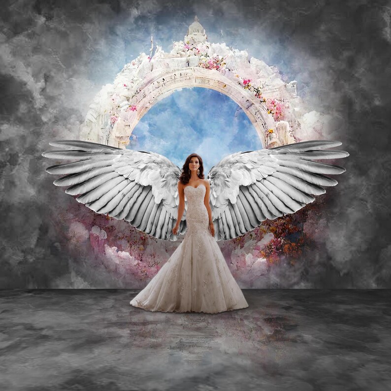 6 Digital Backdrop Angel Wings Digital Backgrounds Wedding Photo ...