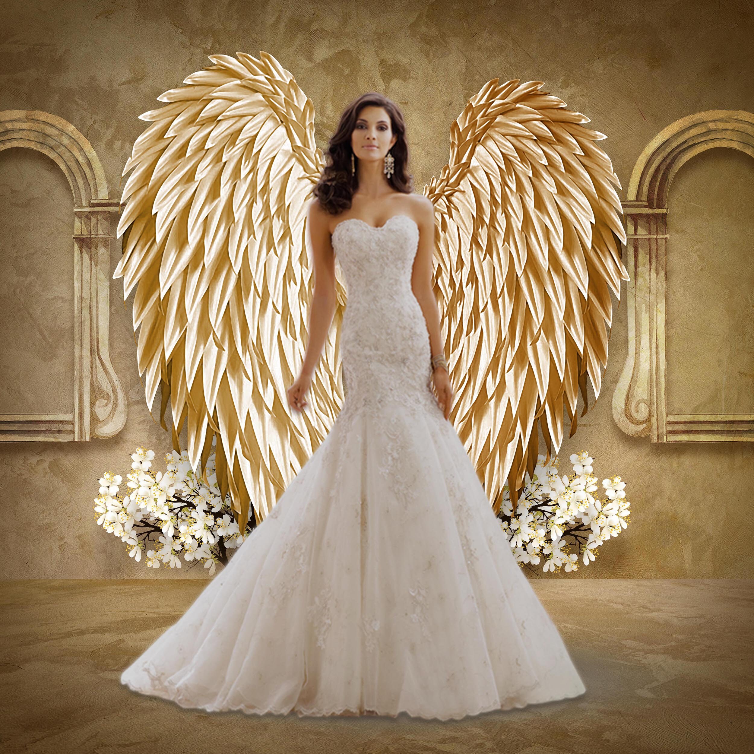 6 Digital Backdrop | Angel Wings Digital Backgrounds | Wedding Photo ...