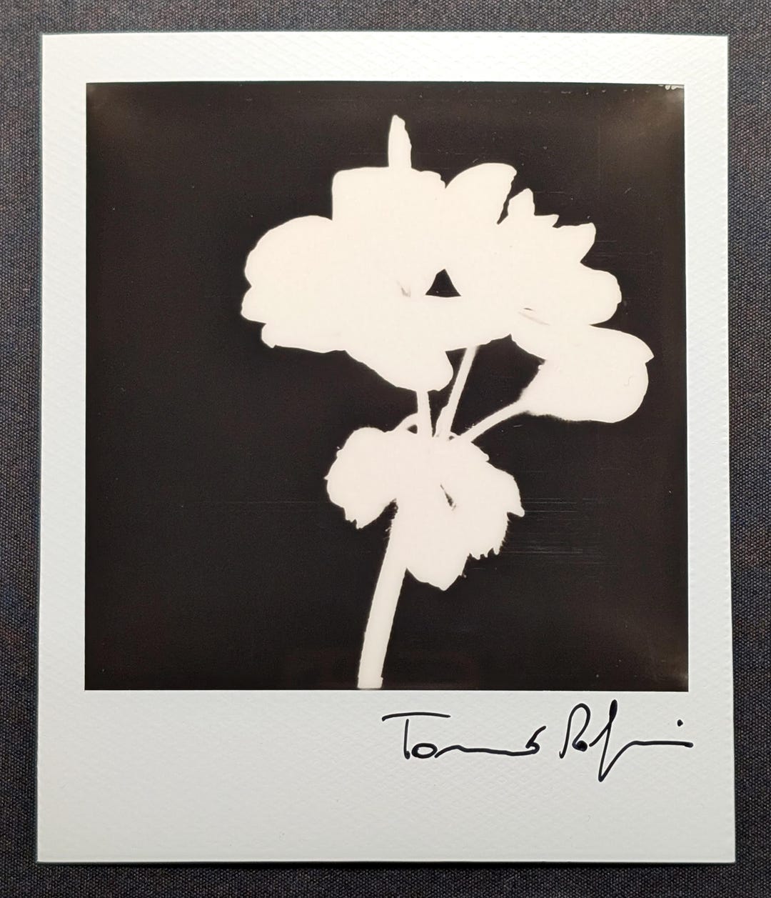 Polaroid Black & White – Abstract Flower - Etsy
