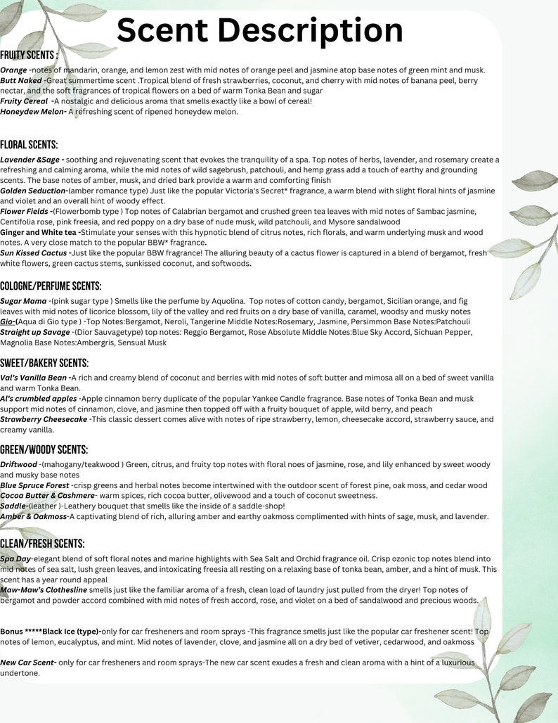 Premium Hanging Car Diffuser |eco Friendly| Long-lasting Aromatherapy ...