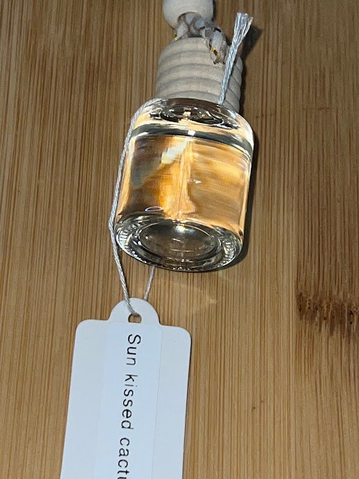 Premium Hanging Car Diffuser |eco Friendly| Long-lasting Aromatherapy ...