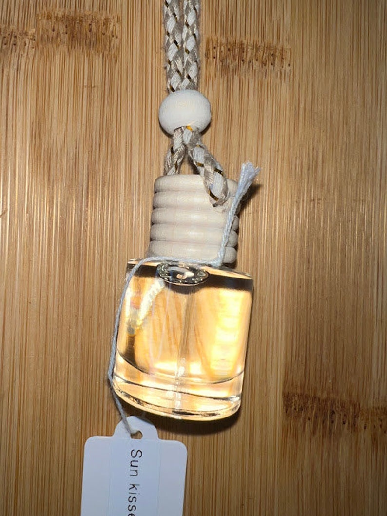 Premium Hanging Car Diffuser |eco Friendly| Long-lasting Aromatherapy ...