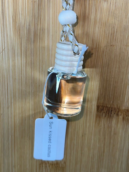 Premium Hanging Car Diffuser |eco Friendly| Long-lasting Aromatherapy ...