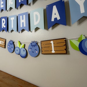 Blueberry Berry First Birthday Garland - Custom Blueberry Birthday ...