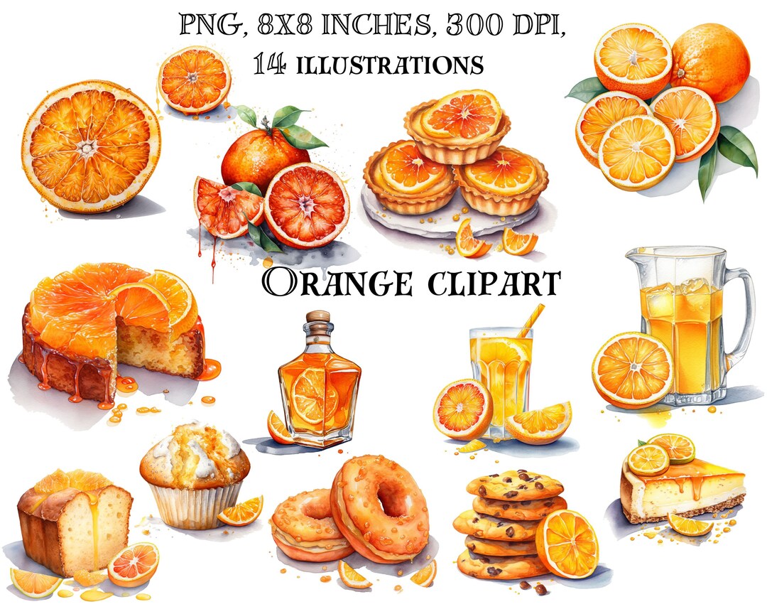 Zesty Delights: Orange Recipes Clip Art - Digital Illustrations ...