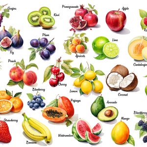 Delicious Fruit Clip Art Set - Vibrant Watercolour Illustrations ...