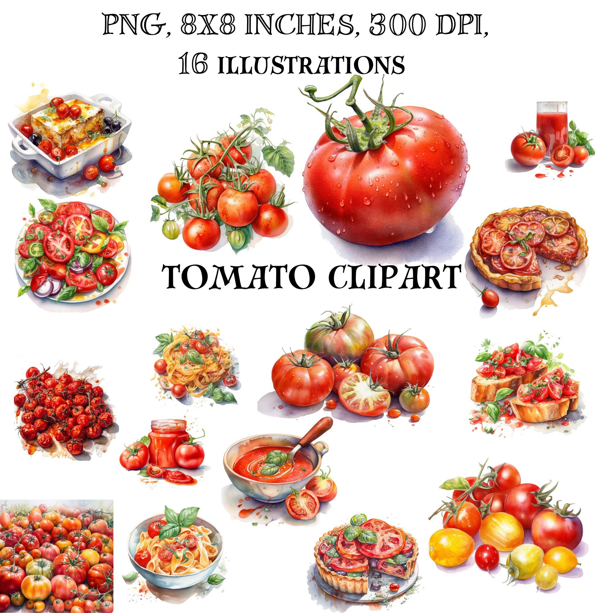 Tomato Illustration