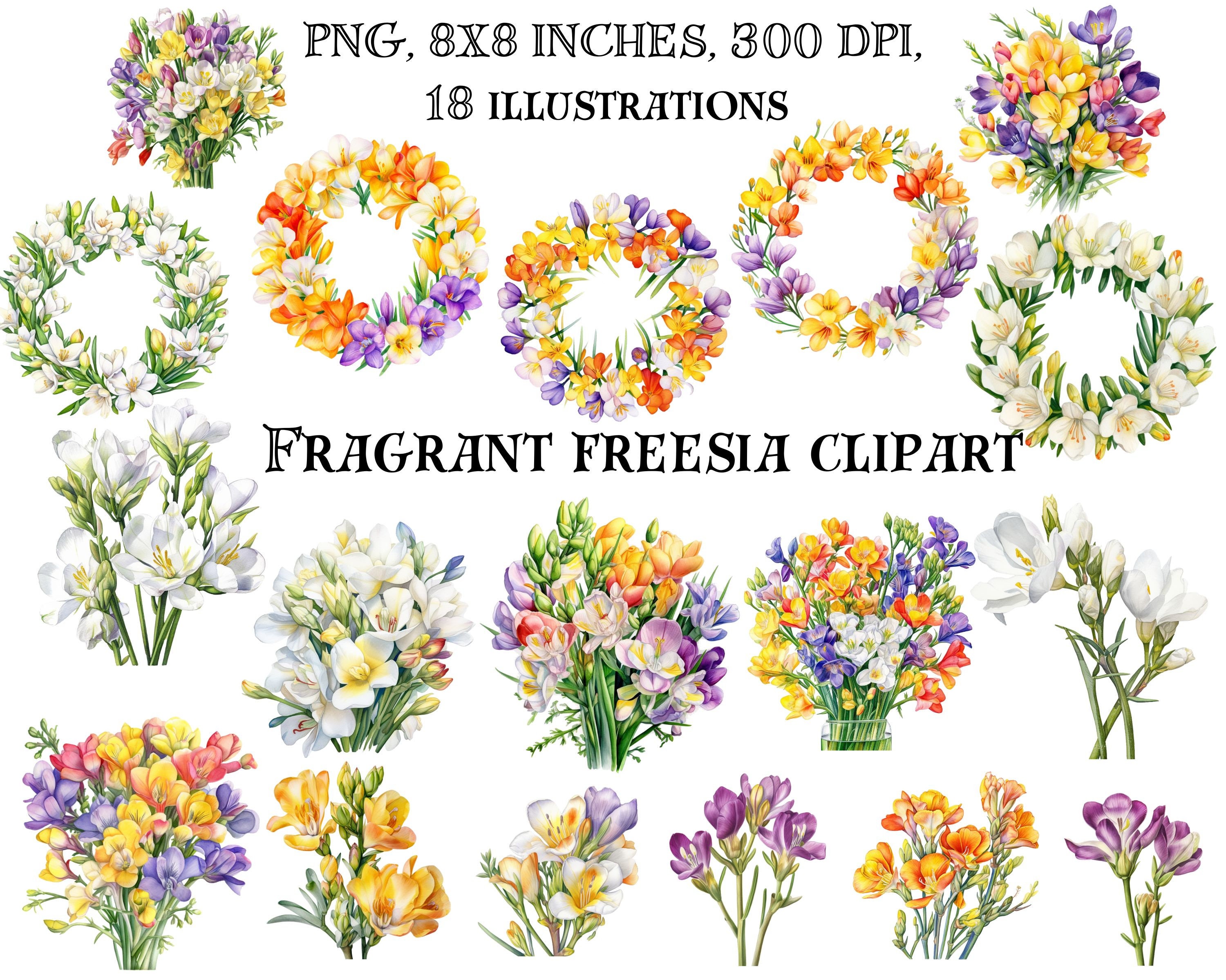 Elegant Freesia Clip Art Digital Illustrations of Graceful Blooms ...