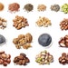 Nuts and Seeds Clip Art - Natural Ingredients for Crafts, Recipes, and ...
