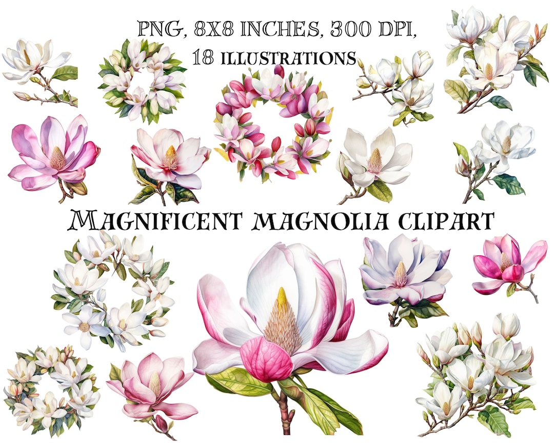 Magnificent Magnolia Clip Art - Digital Illustrations of Elegant ...