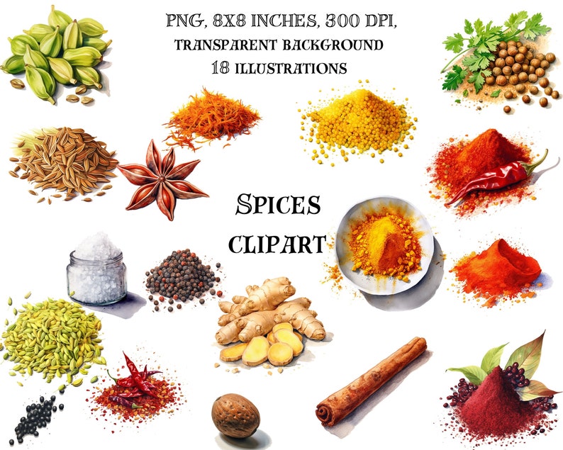 Spice up Your Creations: Spices Clip Art Aromatic Illustrations for ...