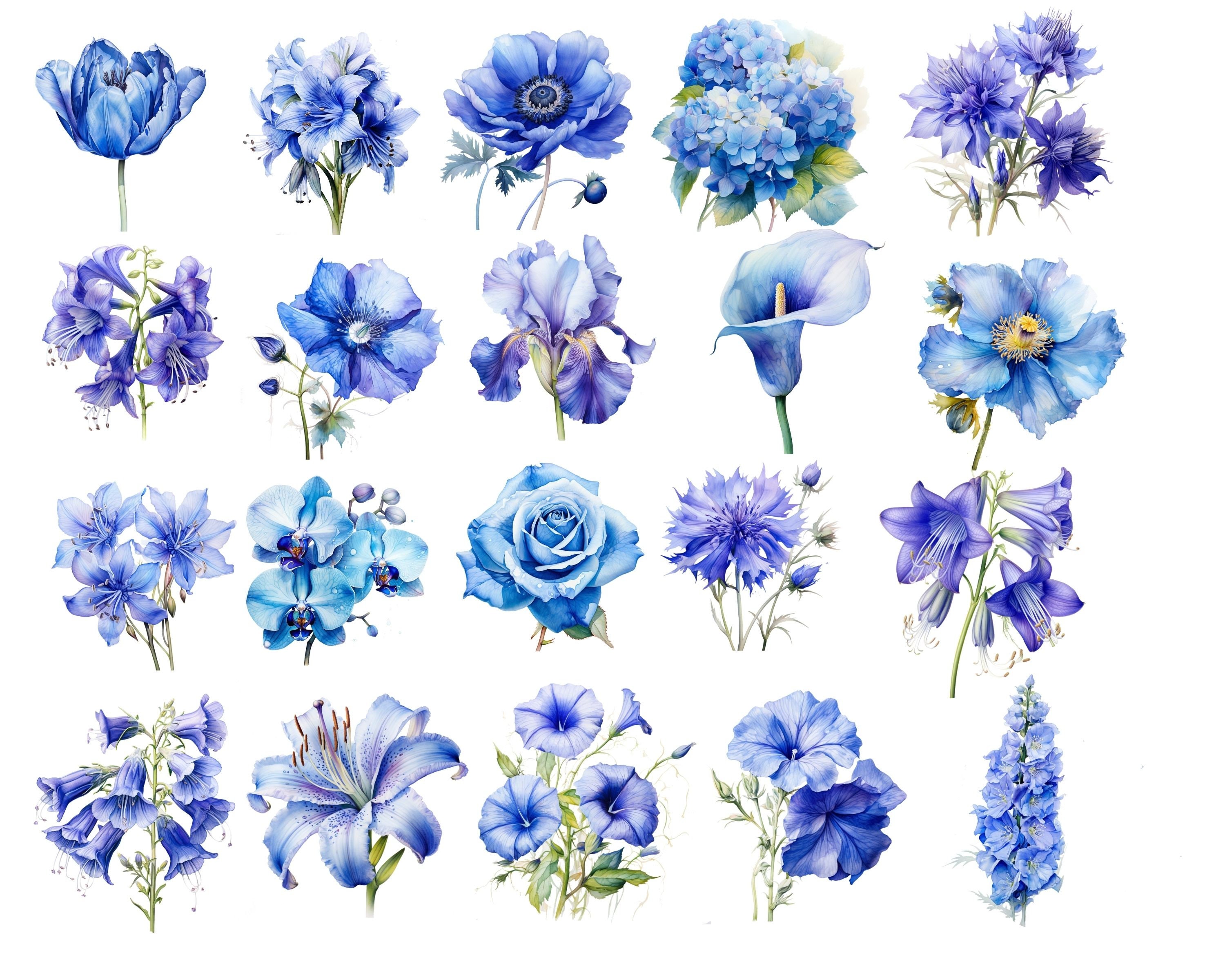 Elegance in Blue: Floral Clip Art Digital Illustrations of Stylish ...