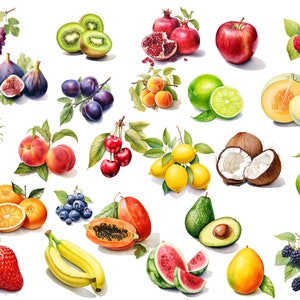 Delicious Fruit Clip Art Set - Vibrant Watercolour Illustrations ...
