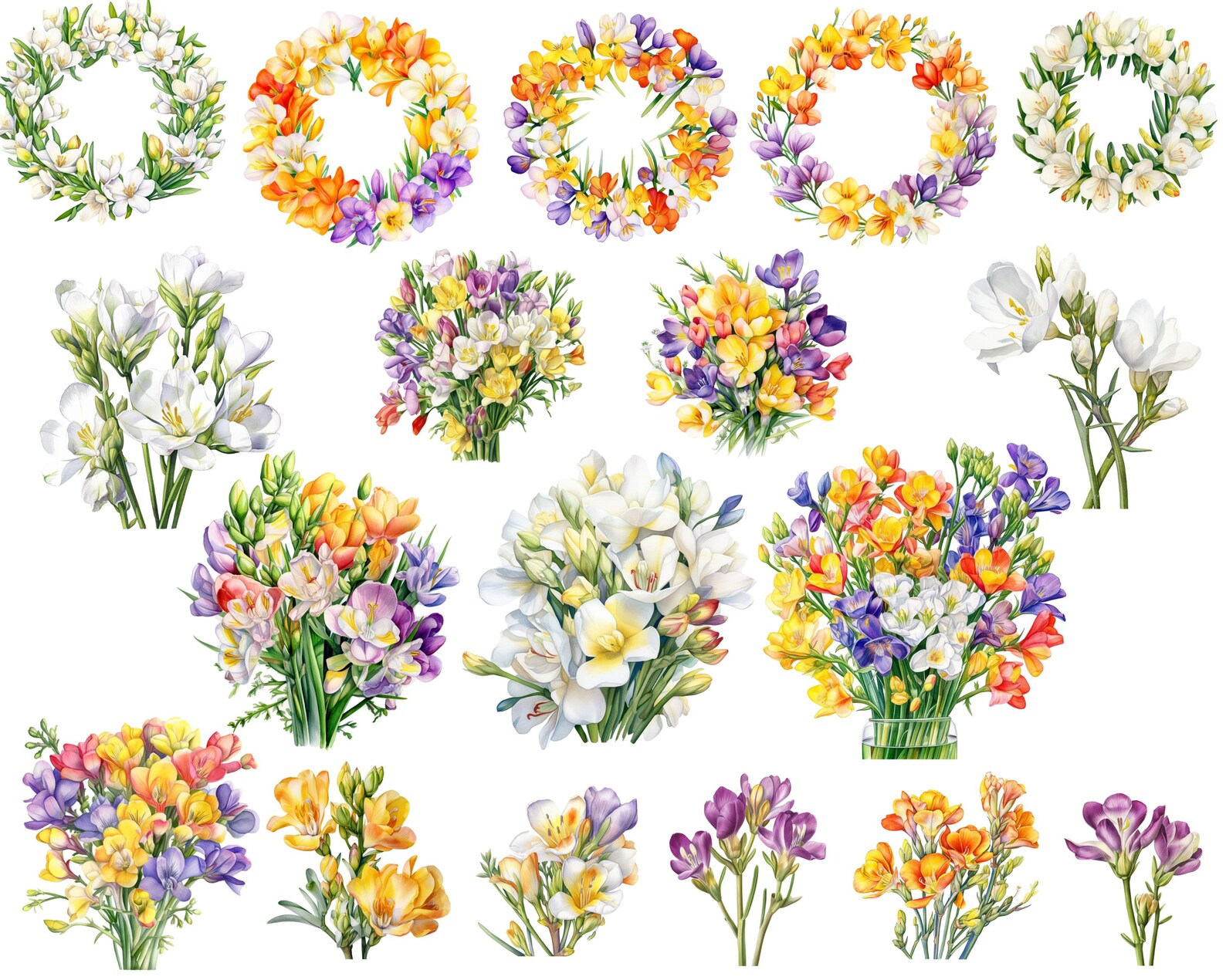 Elegant Freesia Clip Art Digital Illustrations of Graceful Blooms ...