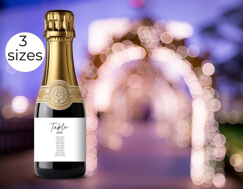 Birthday Party Seating Chart, Wine Bottle Label Seating Chart, Modern ...