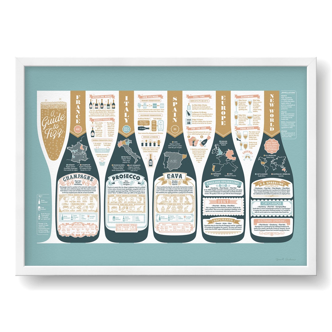 A Guide to Fizz Print - Etsy