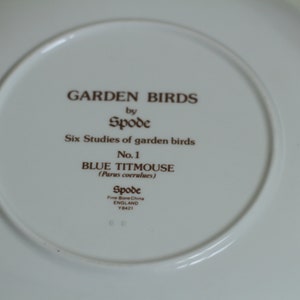 Antique Wall Plates Bird Wall Decor Vintage Plates England Porcelain ...