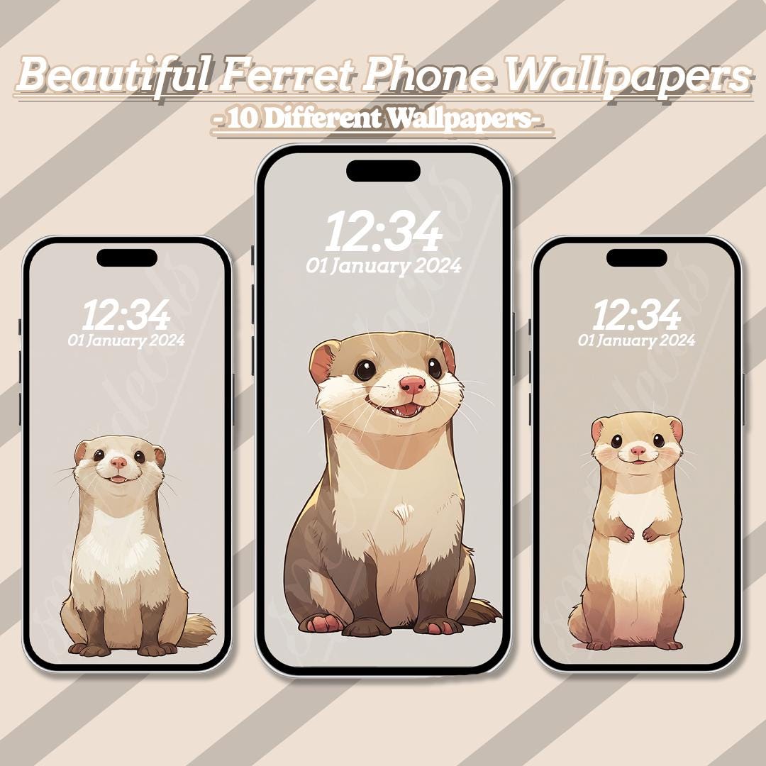 Ferret Phone Wallpaper | Cute and Adorable Animals | Anime Style | 10 ...