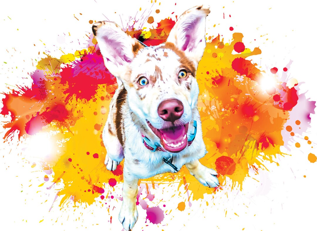 Custom Pop Art Pet Print I Pop Art I Custom Dog Print I Custom Pet ...