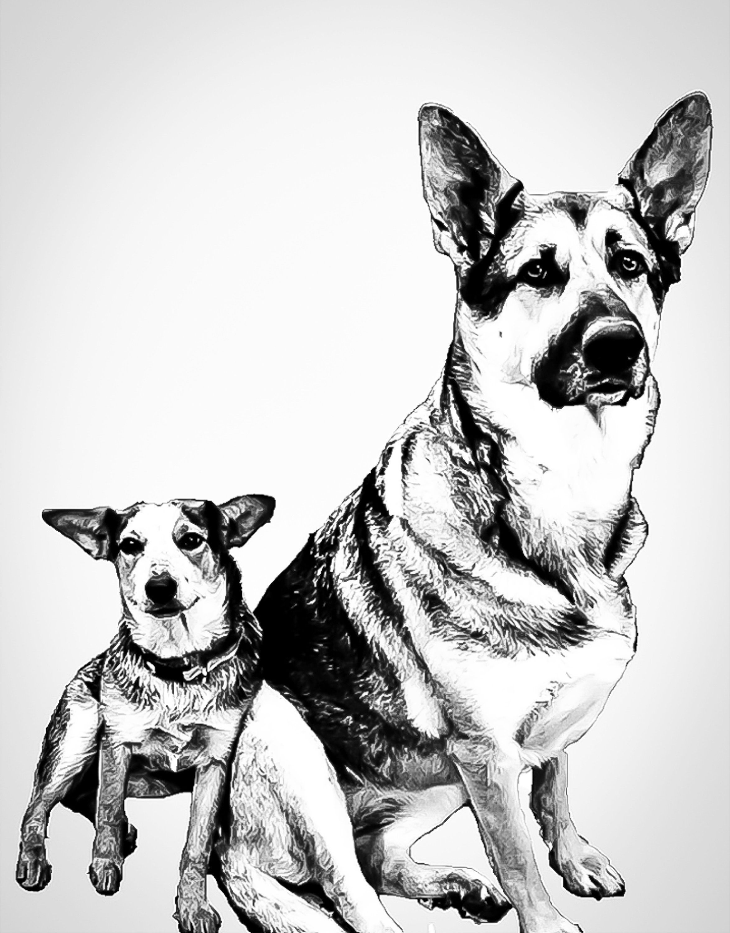 Custom Dog Print | Black and White Dog Print | Memorial Dog Print ...