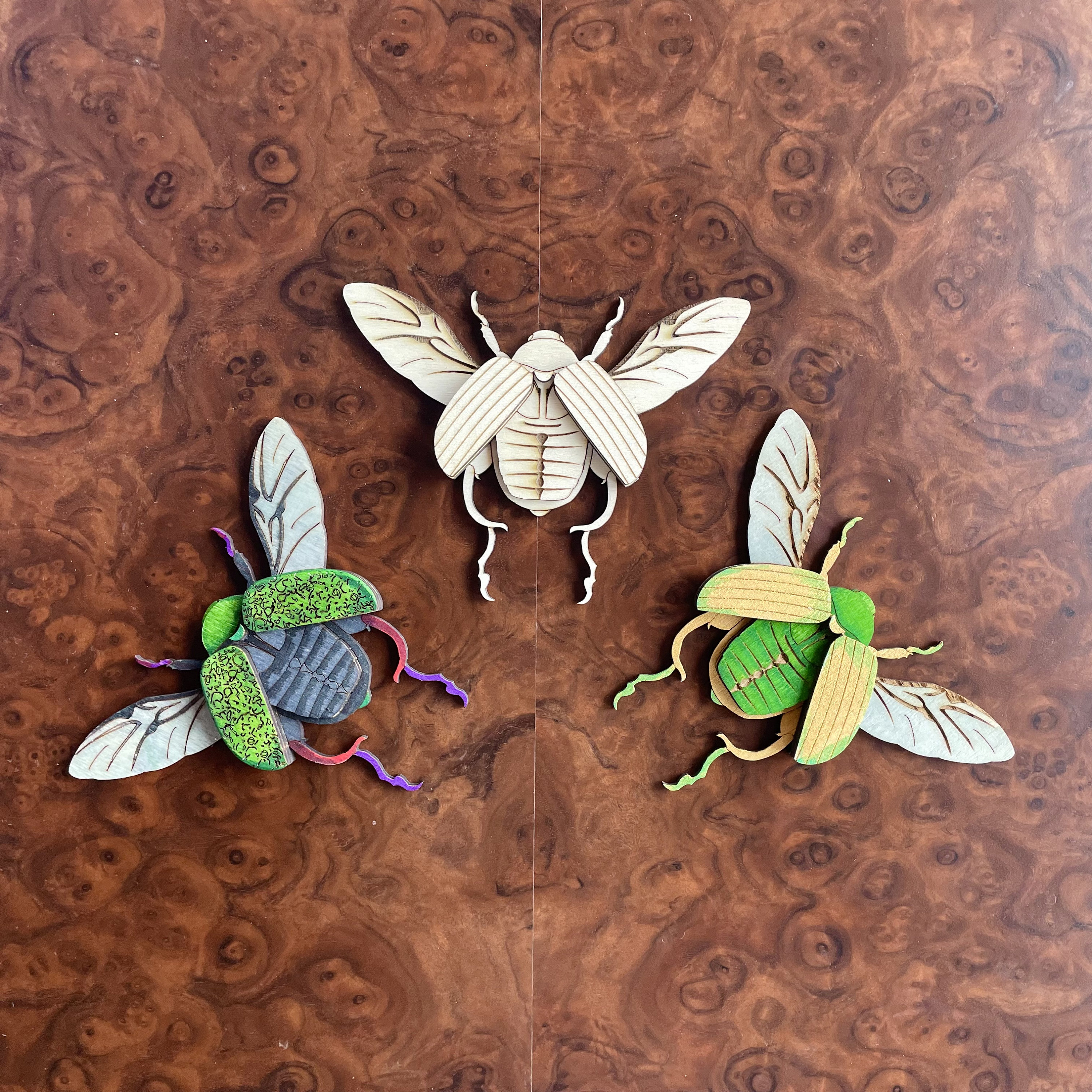 DIY Scarab Beetle Laser Craft Project. Laser Cut File. in SVG, DXF (and ...