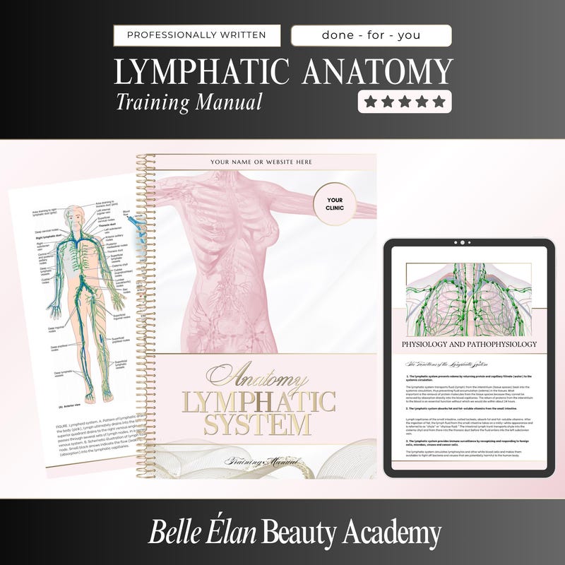 Lymphatic System Anatomy - Etsy