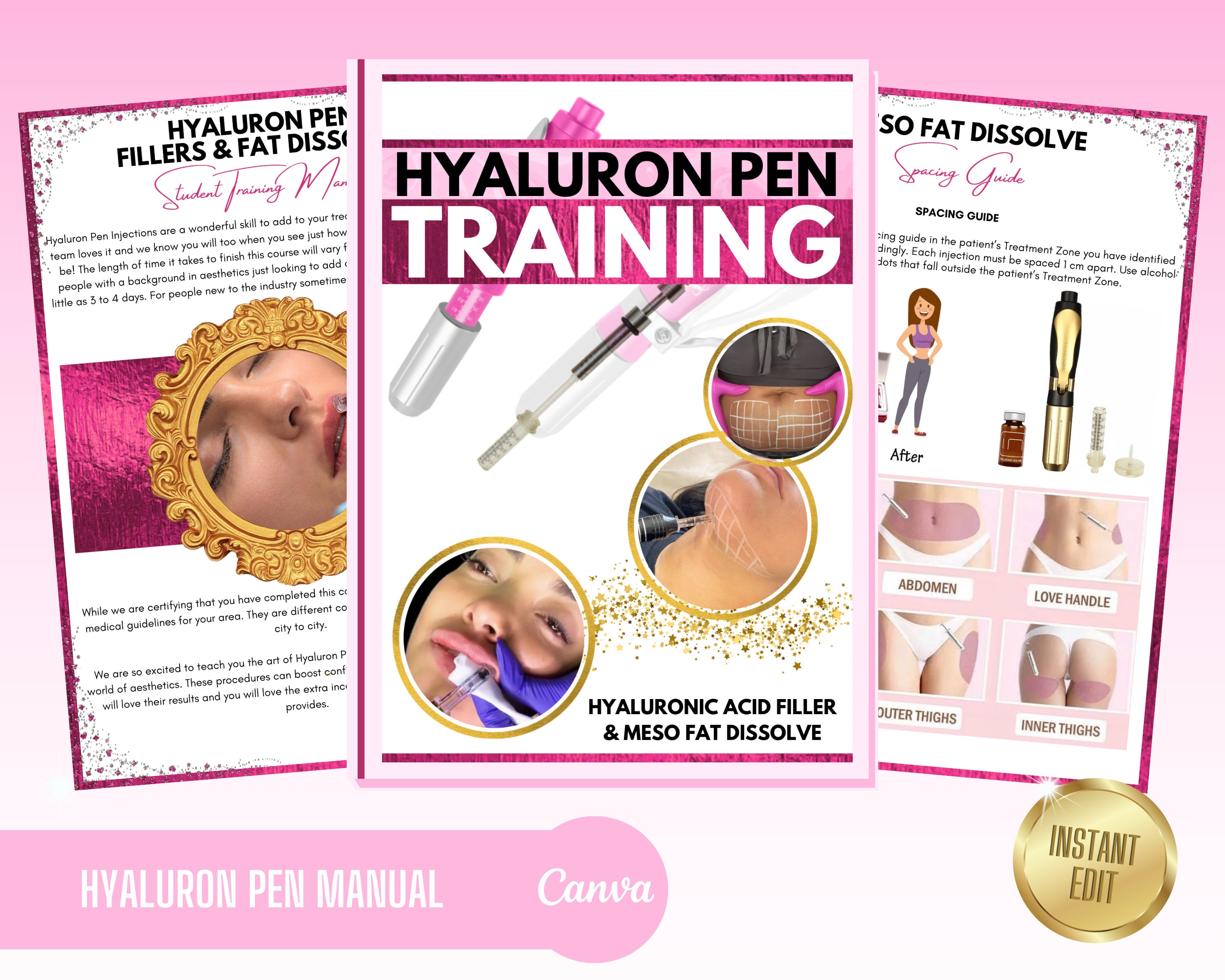 Hyaluron Pen Training Manual: Fat Dissolve & Fillers (canva Editable ...