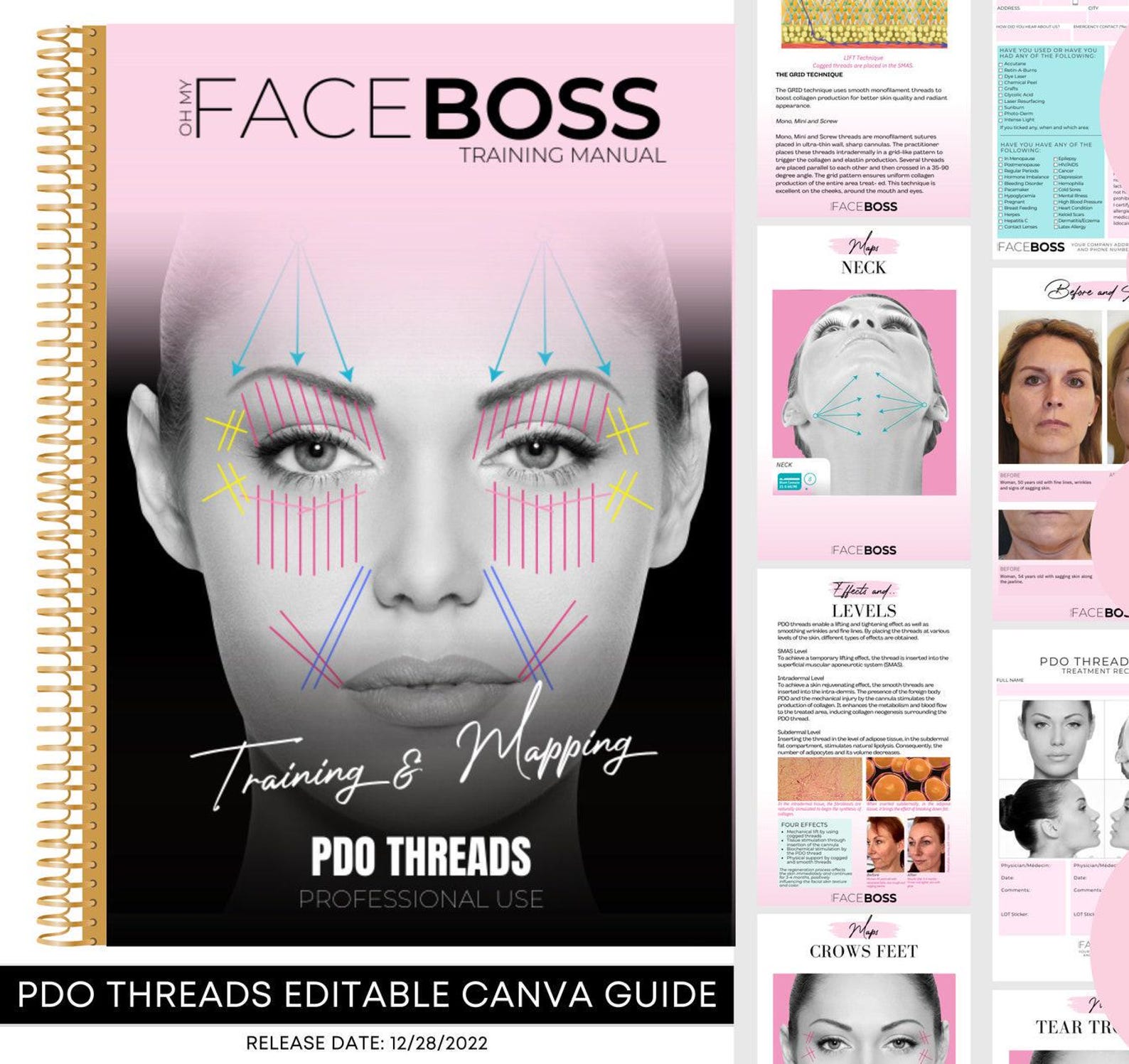 PDO Threads Training Manual, PDO Threads Mapping, Training & Mapping, Aesthetics Treatments ...